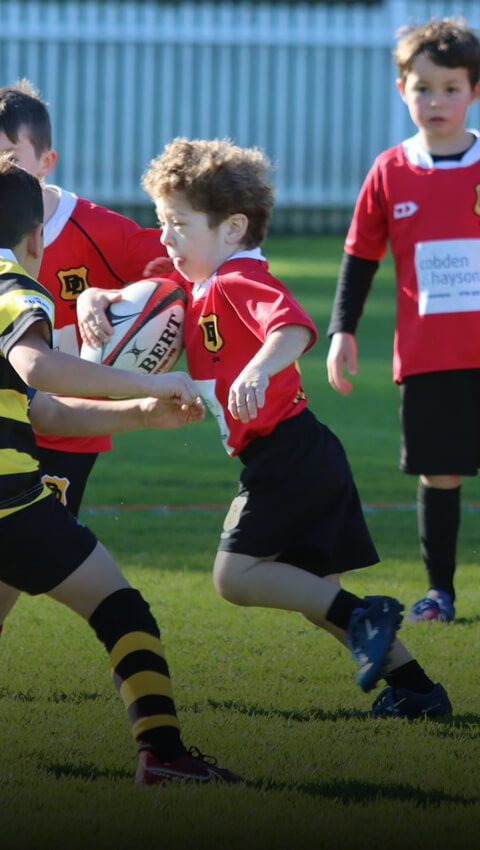 Drummoyne District Junior Rugby Union Club